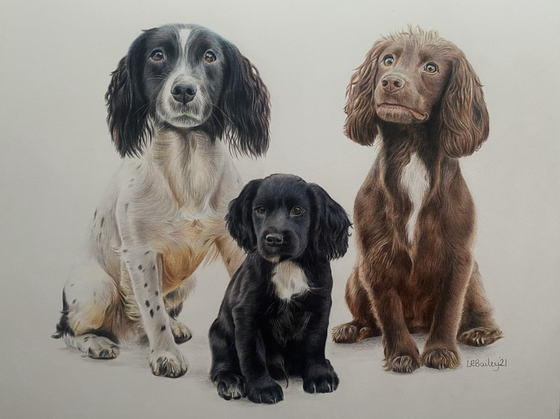 Portfolio | Lydia Bailey Artwork