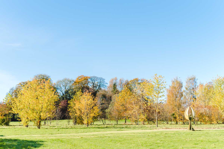 Gardens | The Matara Centre