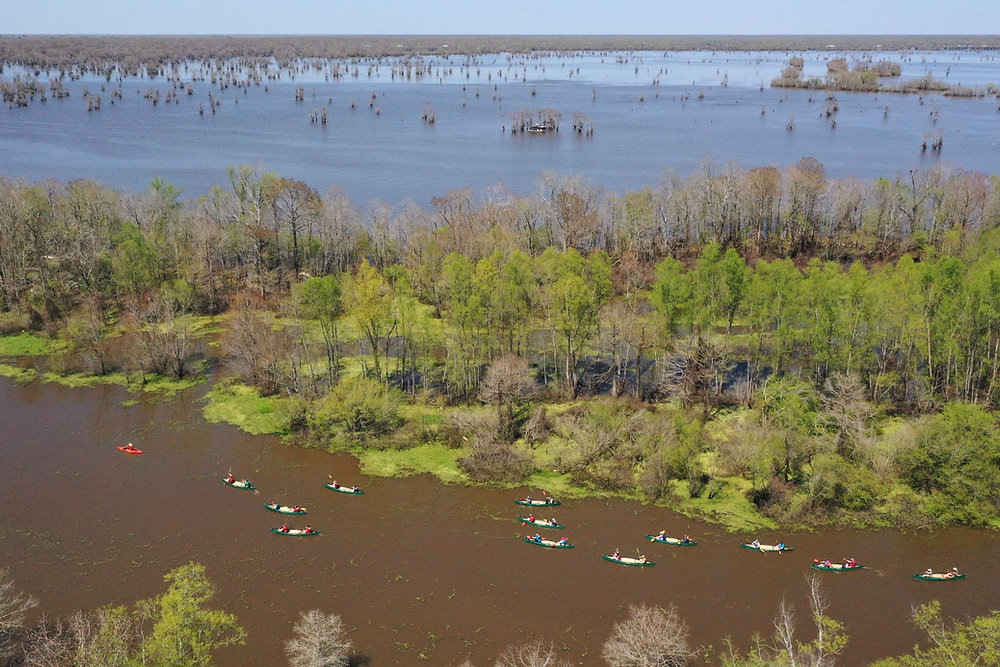 RECORD BREAKING EVENT FOR OUR 7th SWAMP-O-REE!