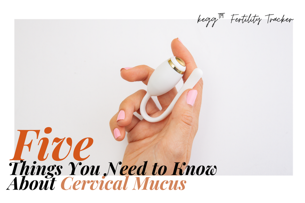 5 Things You Need to Know About Cervical Mucus