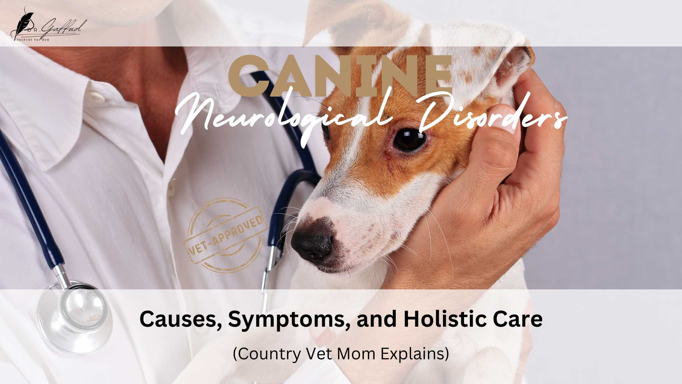 Common Neurological Disorders in Dogs: Causes, Symptoms & Holistic Care ...