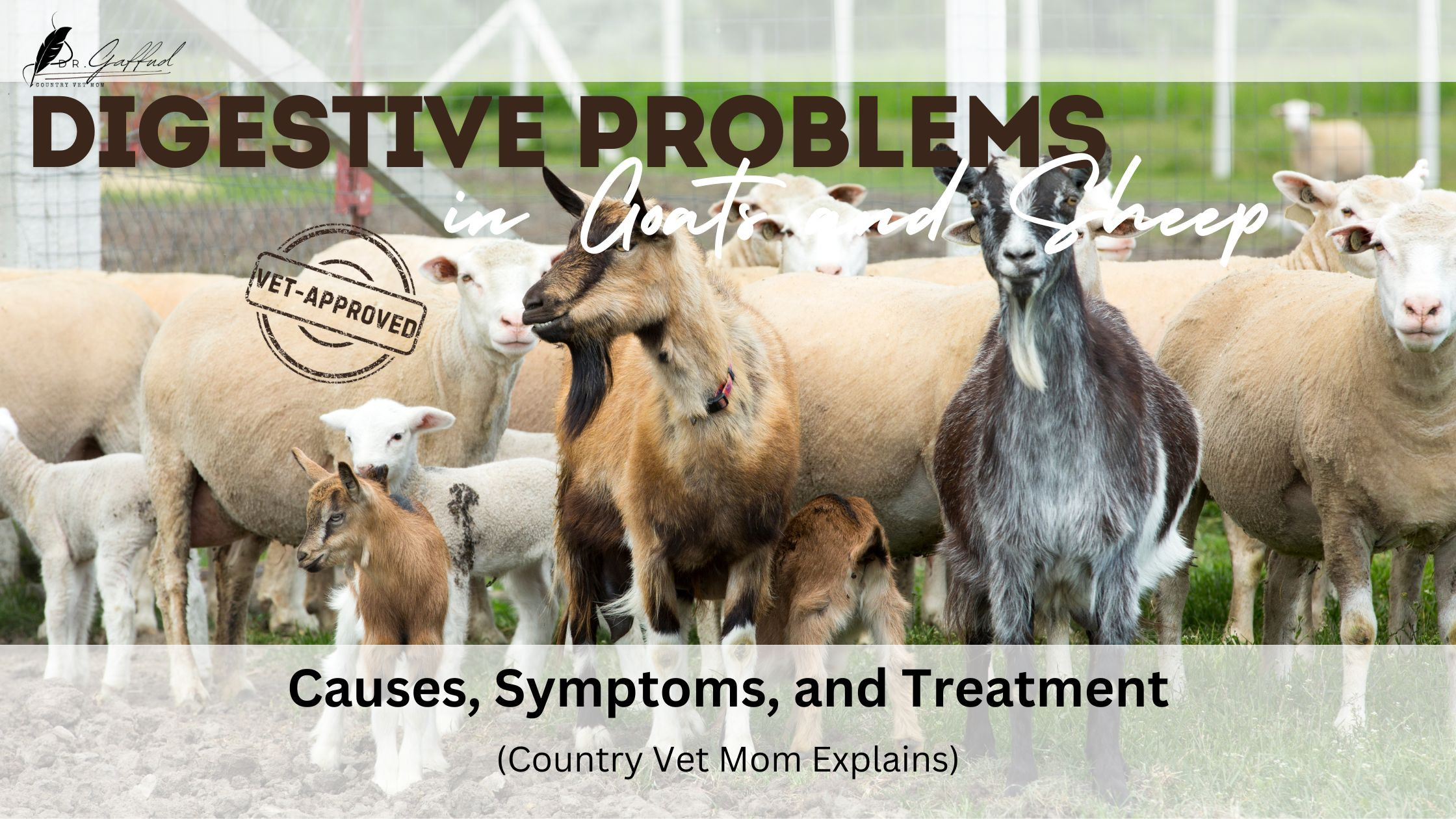 Top 7 Digestive Problems in Goats and Sheep: Causes, Symptoms, and ...