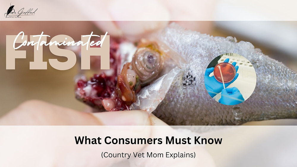 Public Health Risks from Contaminated Fish: What Consumers Should Know