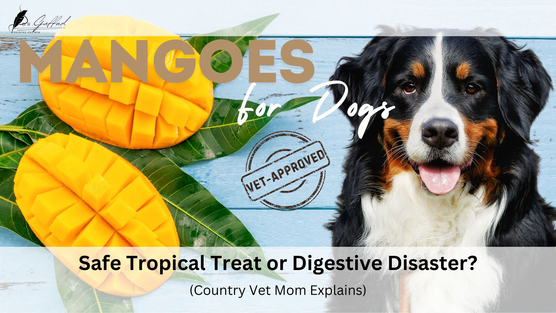 Mangoes for Dogs: Are They Safe? Benefits, Risks, and Vet-Approved ...