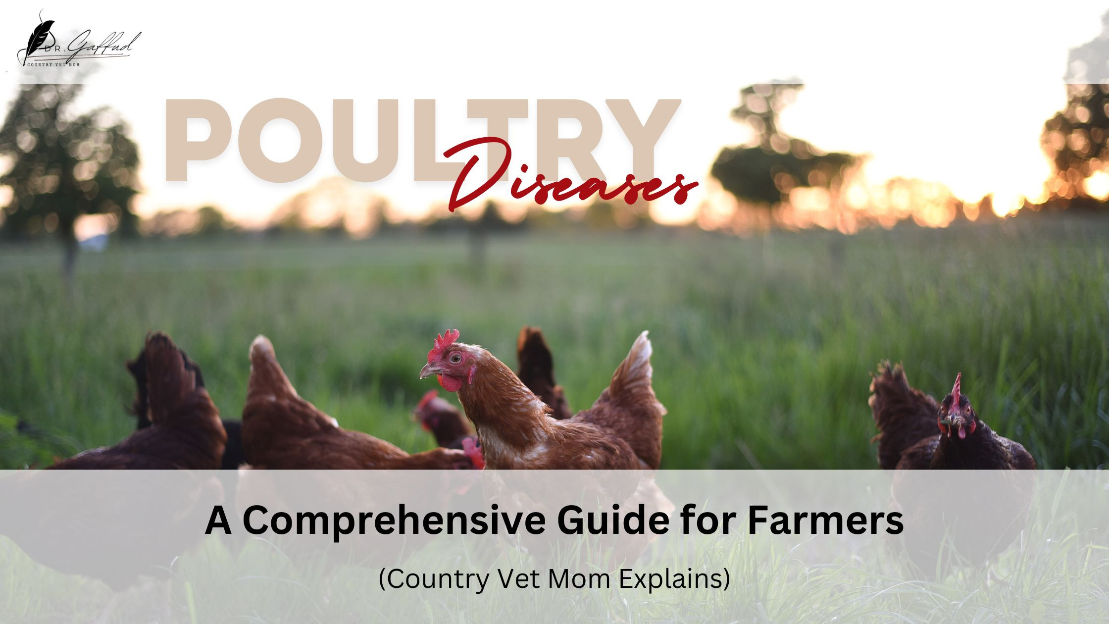 Common Poultry Diseases: Comprehensive Prevention & Treatment Guide for ...