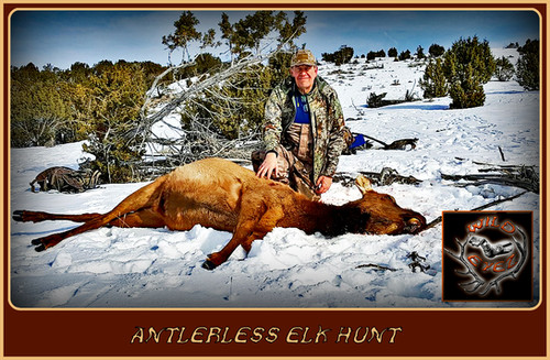 Antlerless Elk Guide Service
