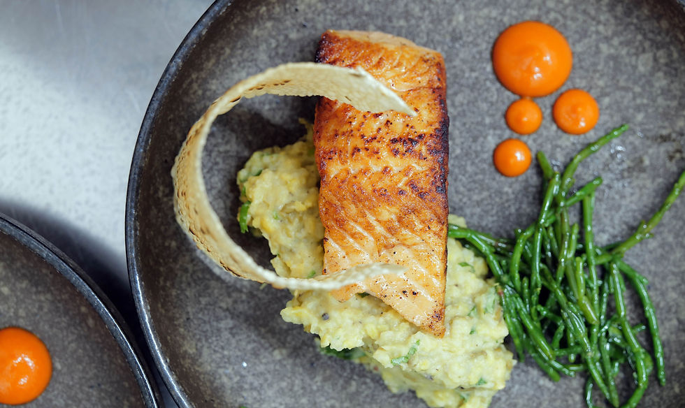 Test | Scratch Cook Social