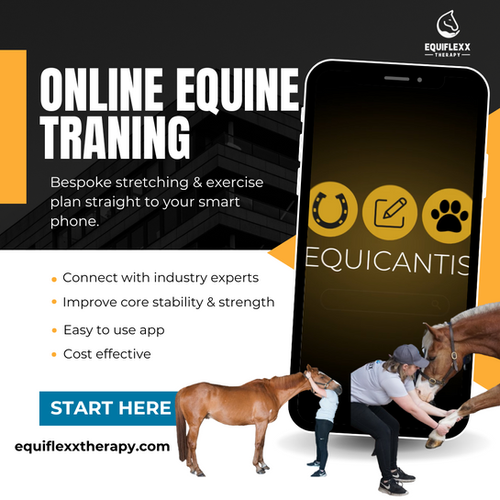 Equine Personal Training Plan | Equiflexx Therapy
