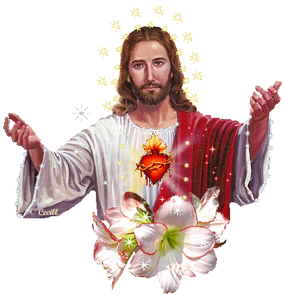 catequesis | catequesis