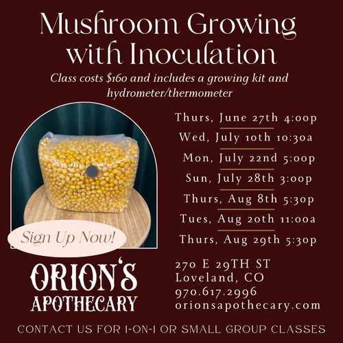 Mushroom Growing with Inoculation | Orion's Apothecary