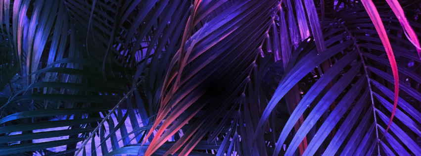 About - Summer 2024 | Troy Dance Factory,