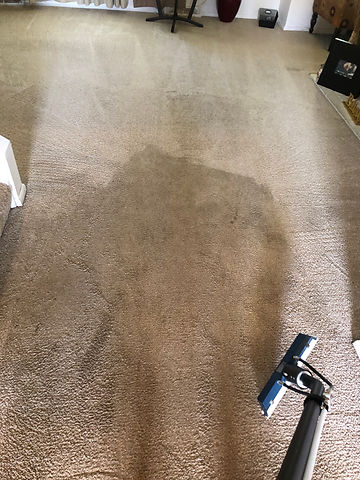 Services | Pro Tech Carpet Cleaning