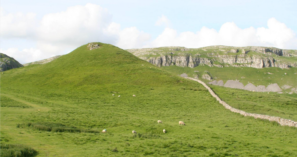 Understanding Reef Knolls in the Yorkshire Dales