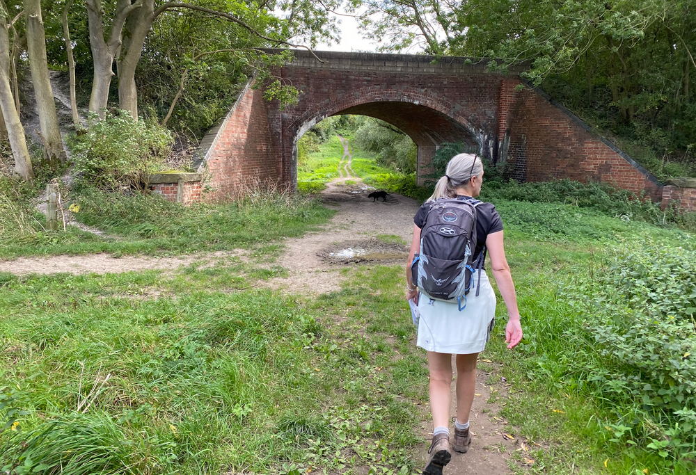 Market Weighton to Londesborough - a Circular walk in the Yorkshire Wolds