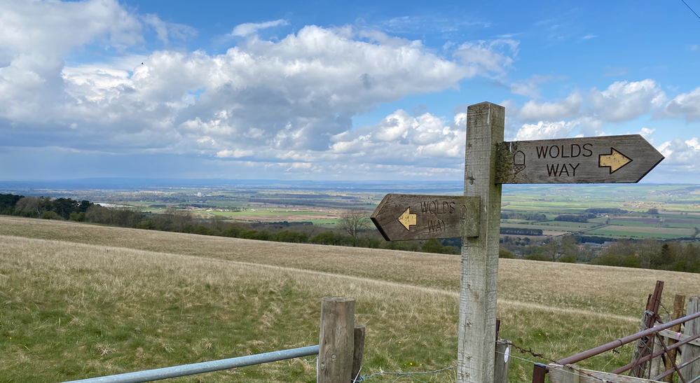 Walk along The Yorkshire Wolds Way from Wintringham
