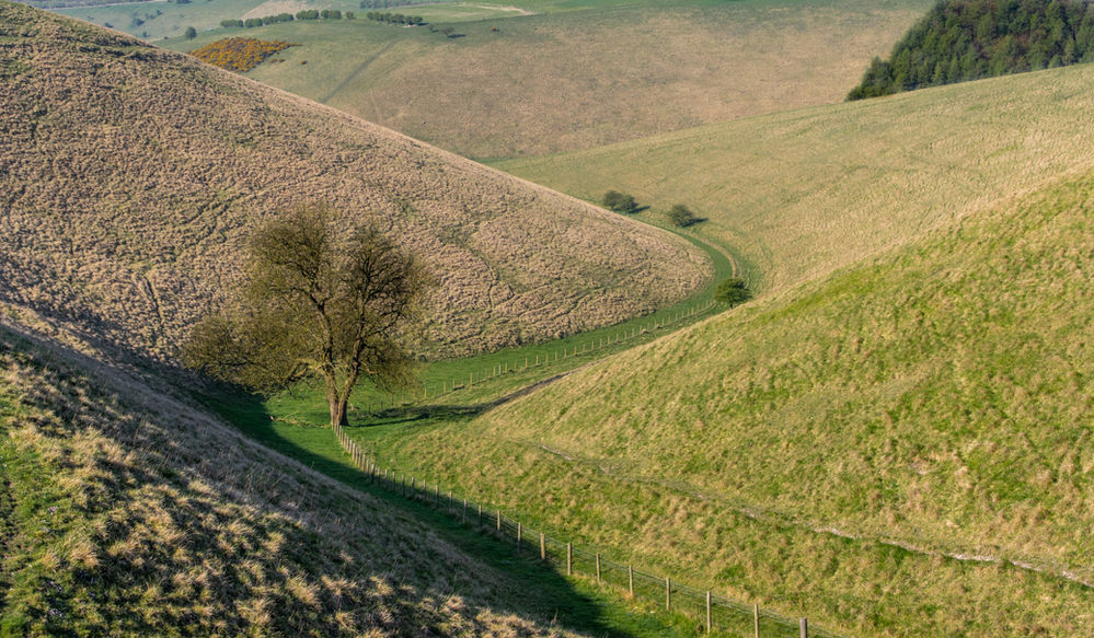 The Yorkshire Wolds - soon to get Area of Outstanding Natural Beauty ...