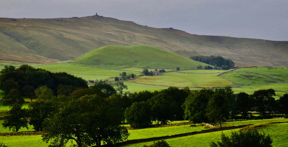 Understanding Reef Knolls in the Yorkshire Dales