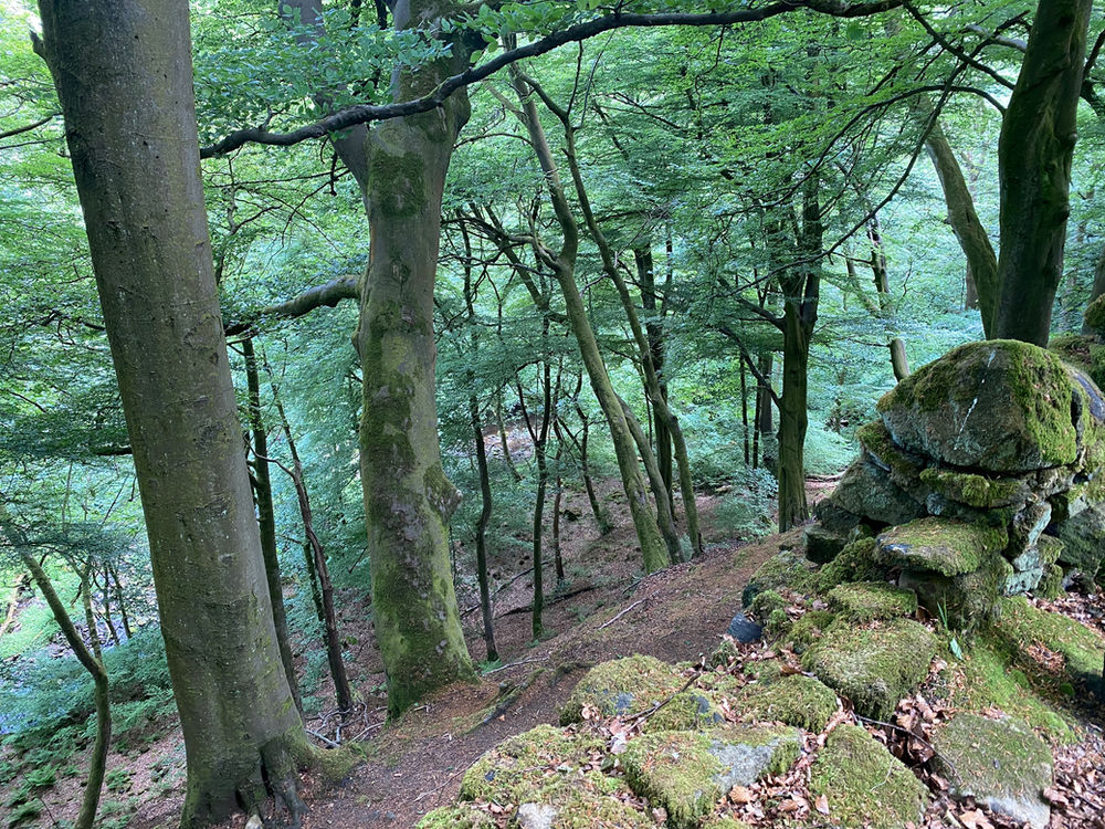 The Cragg Vale Coiners Walk from Christopher Goddard’s illustrated map