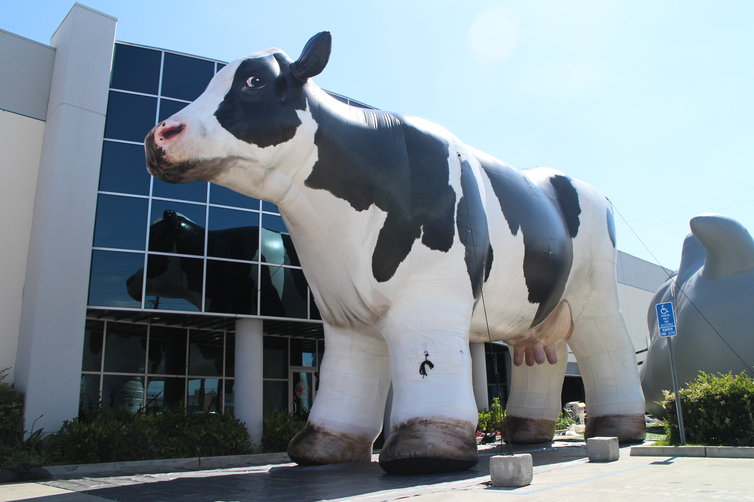 Giant Inflatable Animals | Made in U.S.A