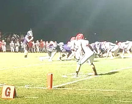 This Week in the TVL | Home