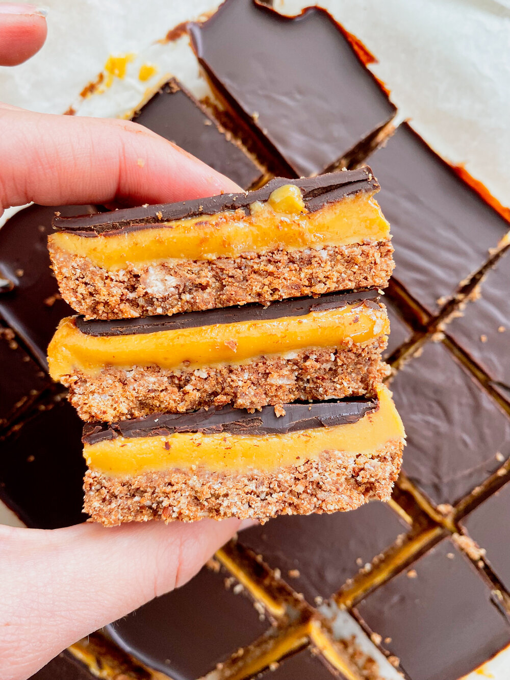 Chocolate Coconut Slice