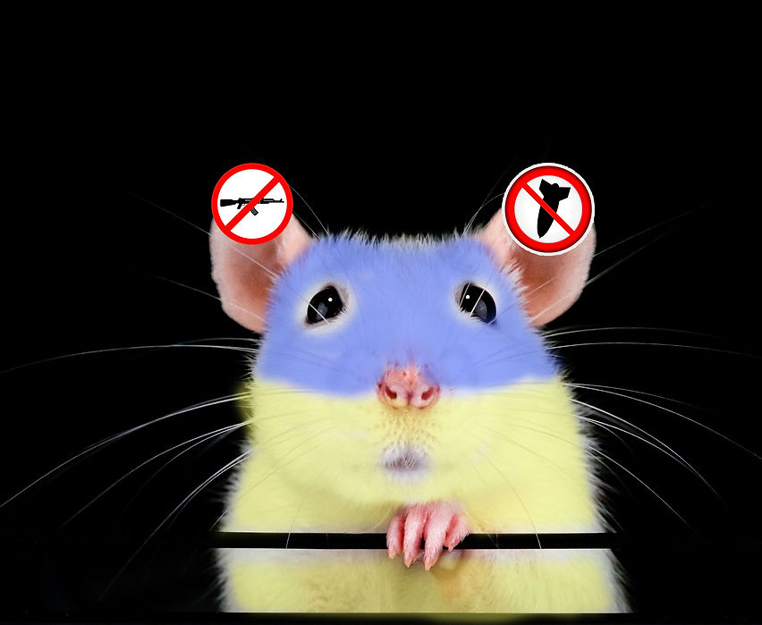 ファンシーラット・マウス | SHIPPOBANK | 日本