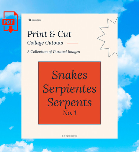 Snakes Printable Collage Cutouts - 6 Pages | Madcollage.com