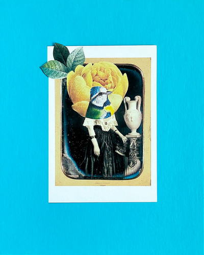 Lady bird | Madcollage.com