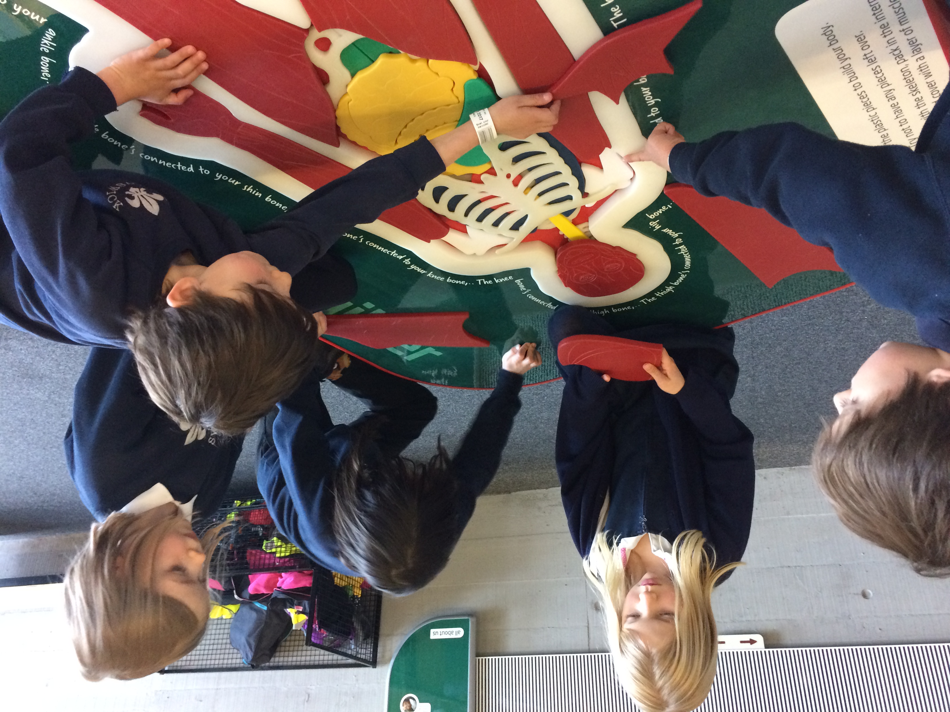 Swainswick Primary School | Hazel Class