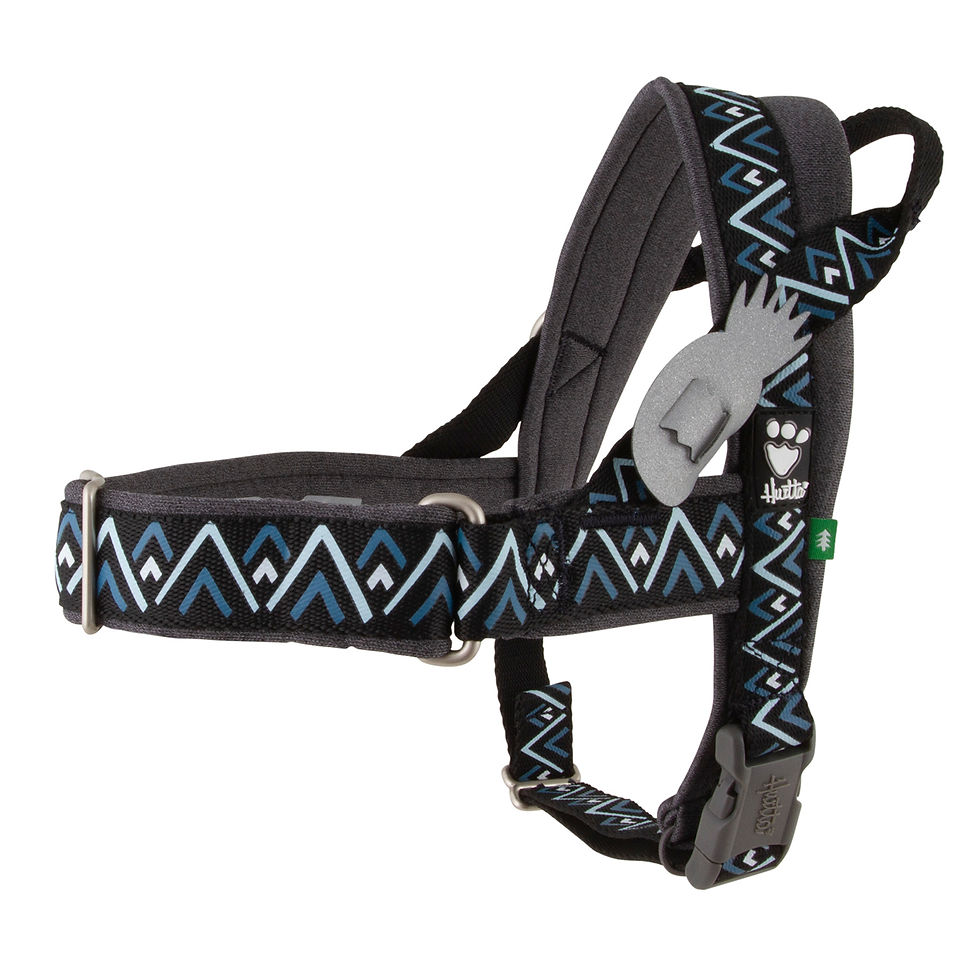 Harnesses | hurtta