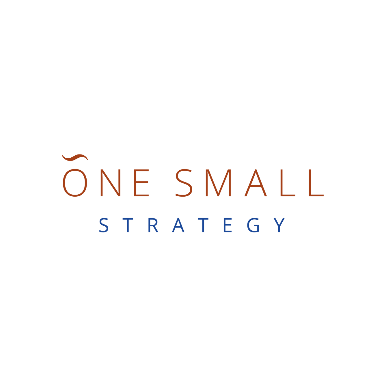 Regulatory Advisory Services Ahmedabad | One Small Strategy