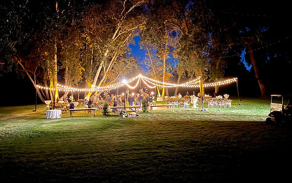 Market String Lights | Lightupthewalls