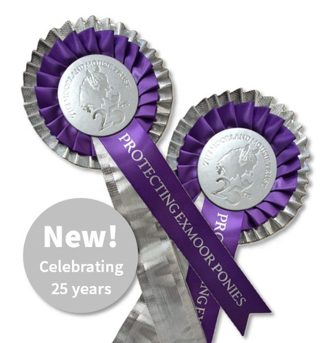 Big Rosette '25 years' | Exmoor Pony Centre