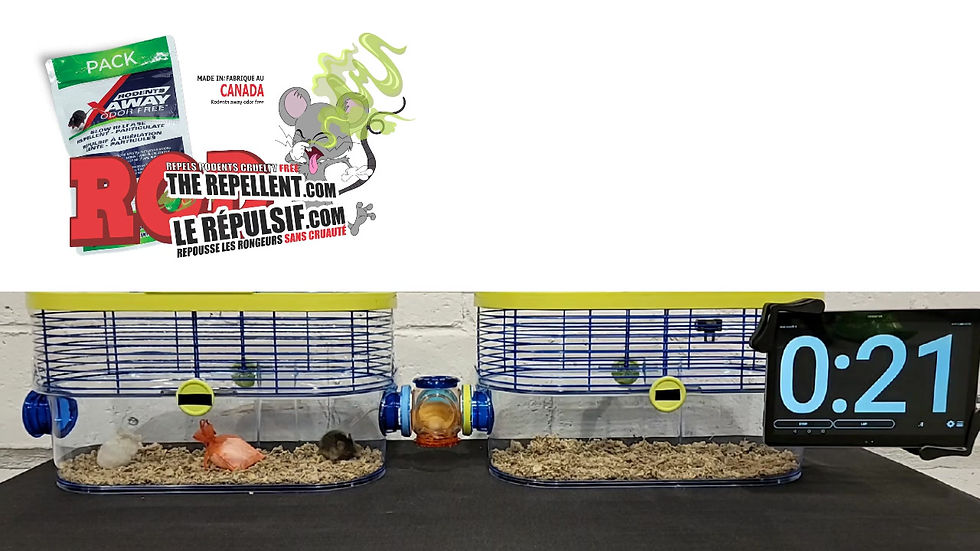 Boutique en ligne | Rod le répulsif