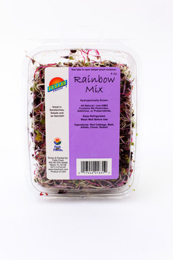 Sprouts l Fullei Fresh l United States