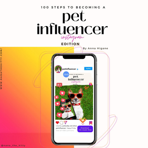 100 Steps to Becoming a Pet Influencer Instagram Edition | Nana the Kitty