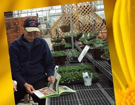 Joe's Basket Days | Riverside FarmsJoe's Basket Days