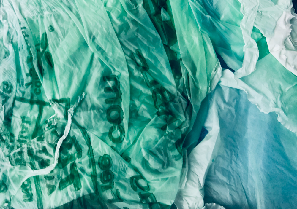 The Golden Bough Project - Part 2)