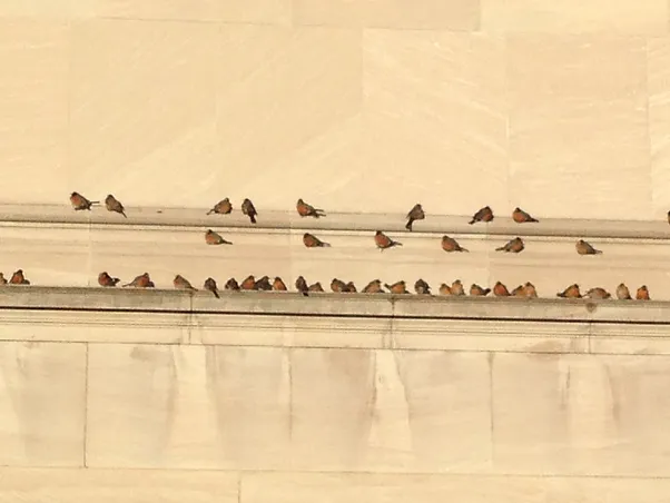 Home | Amanda Griffith