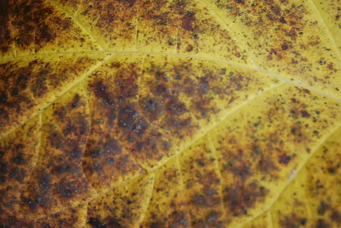 Home | Amanda Griffith