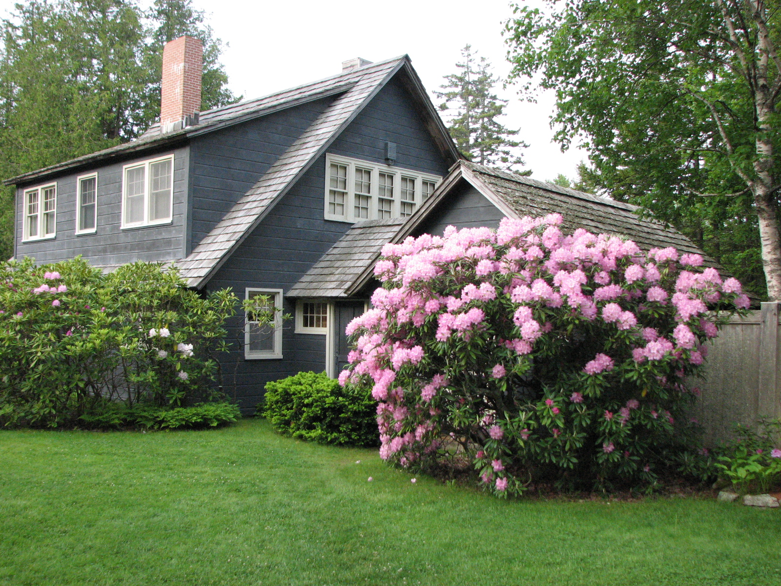 Thuya Garden | gardenpreserve