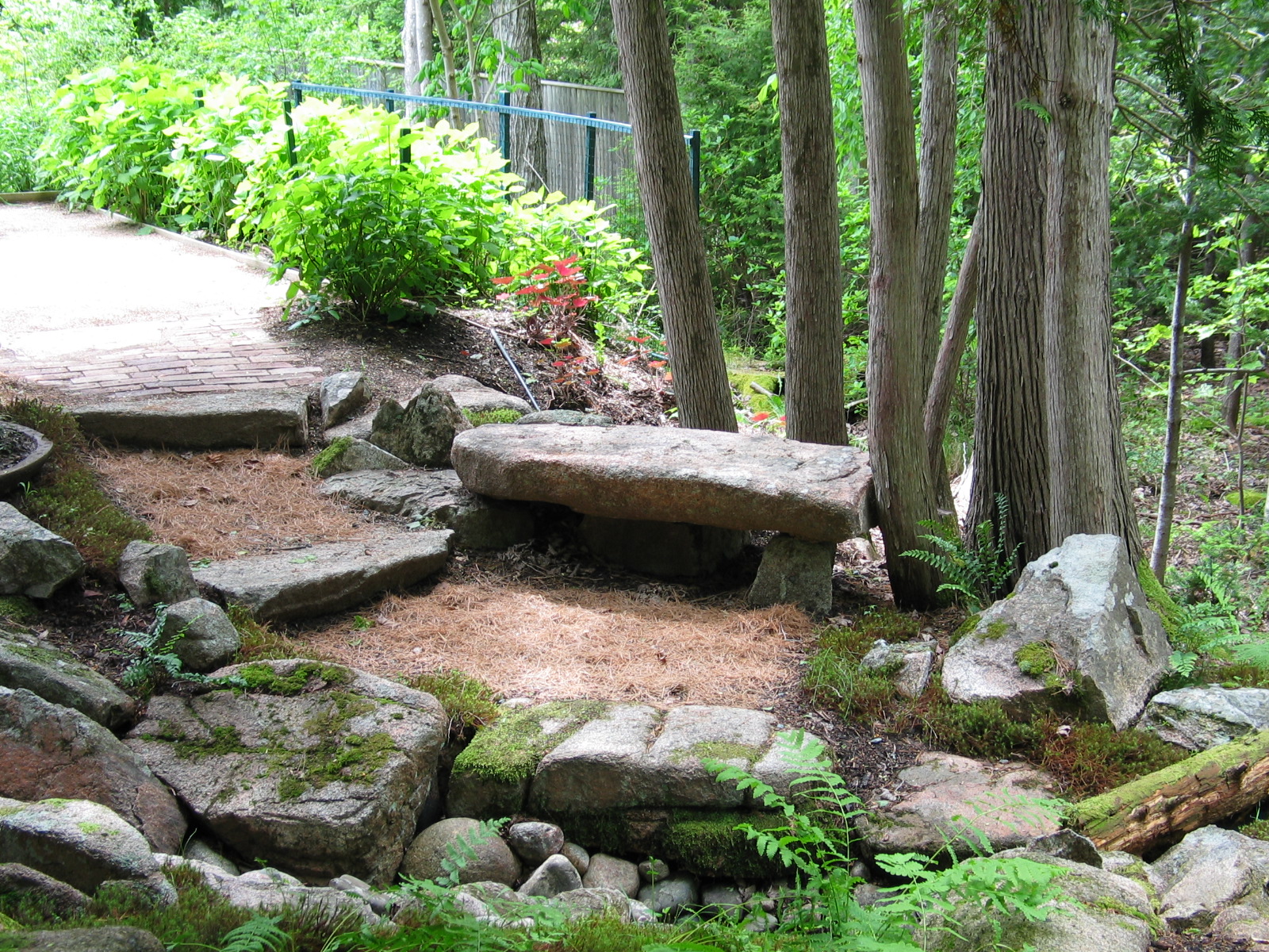 Thuya Garden | gardenpreserve