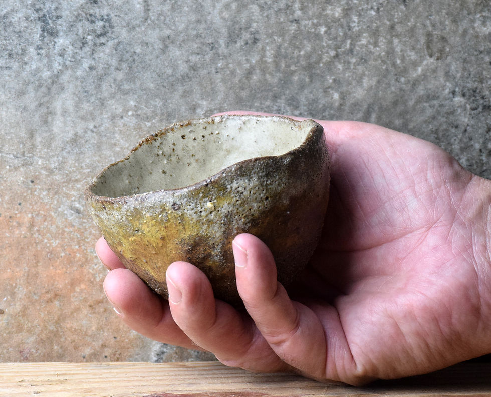 Home | Wildcraftedceramics
