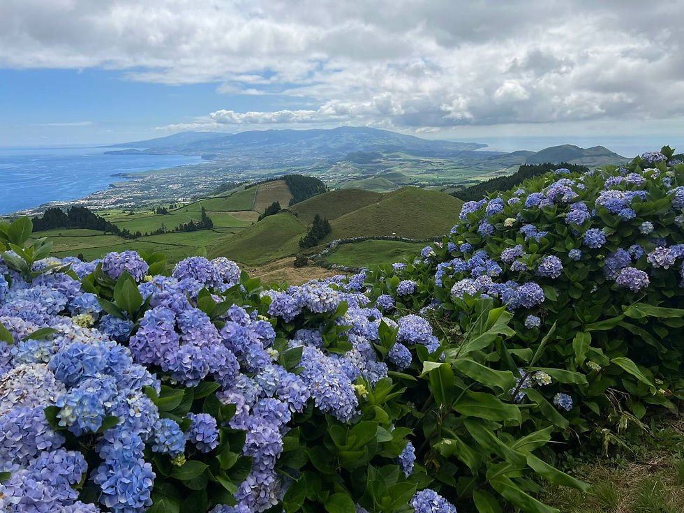 Exploring the Plantation and Fauna of the Azores: A Natural Paradise