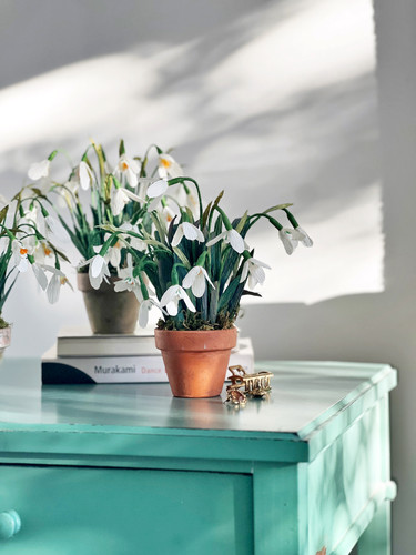 Snowdrop Paper Flower Plant Sculpture | Blooms By Beam