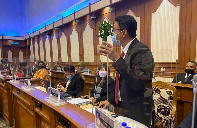 Ladang hutan: 70,000 hektar ditebang di Pahang, hanya 5% ditanam semula ...