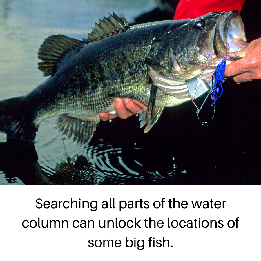 How to Get Better at Bass Fishing