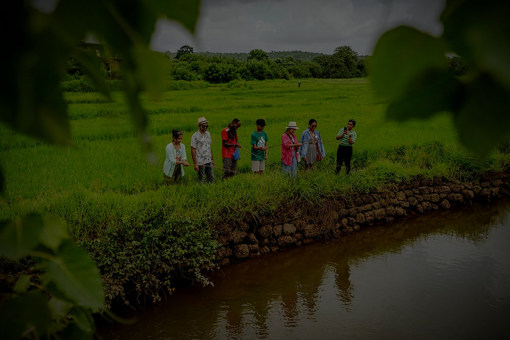 7 Offbeat Places in Goa | Explore The Offbeat Goa with Soul Travelling