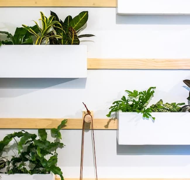 Biophilic Design: Painting to Connect with Nature