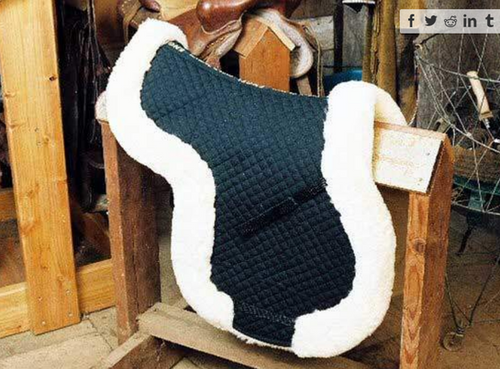 All Purpose-Numnah with Complete Lining and Full Rolled Edge | The ...